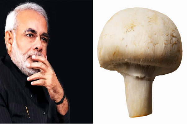 People go crazy after Congress leader claims Modi became fair after ...