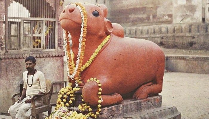 Nandi at Gyanvapi: silent observer, watchful protector of the shrine