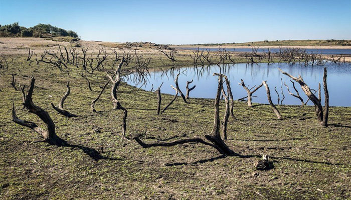 Drying rivers, forest fires and more: Climate Change threat looms over ...