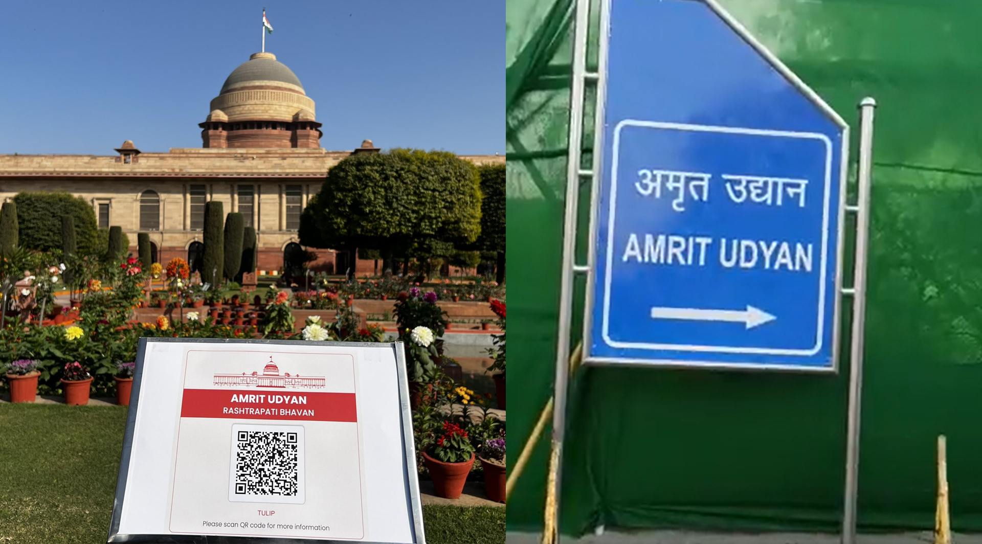 Mughal Gardens in Rashtrapati Bhavan renamed to Amrit Udyan