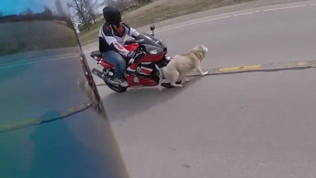 Bombay HC imposes fine on State for filing FIR against a food delivery ...