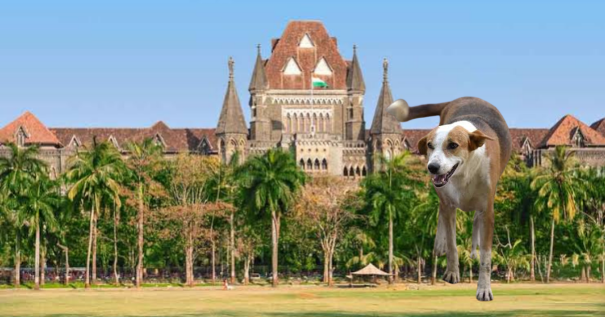 Bombay HC orders a residential society to act against security guards ...