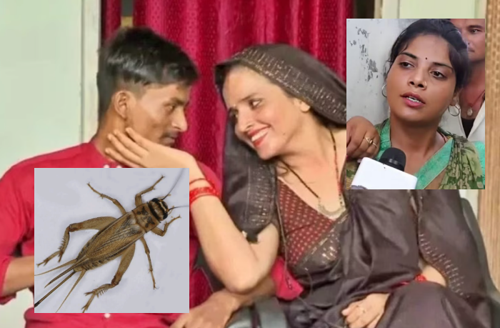 'Lappu sa Sachin, jhingur sa ladka': Seema Haidar love story now has a ...