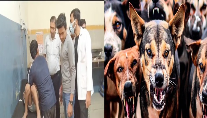 7-year-old boy serious wounded after attacked by a dog in Banda in UP