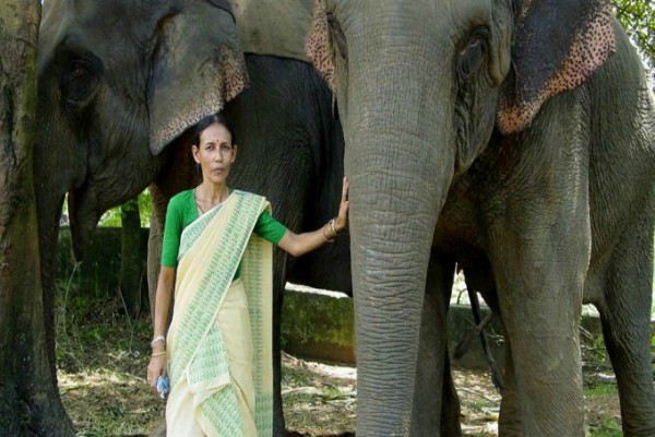 "Father said it was male-dominated job…": India's first female elephant ...