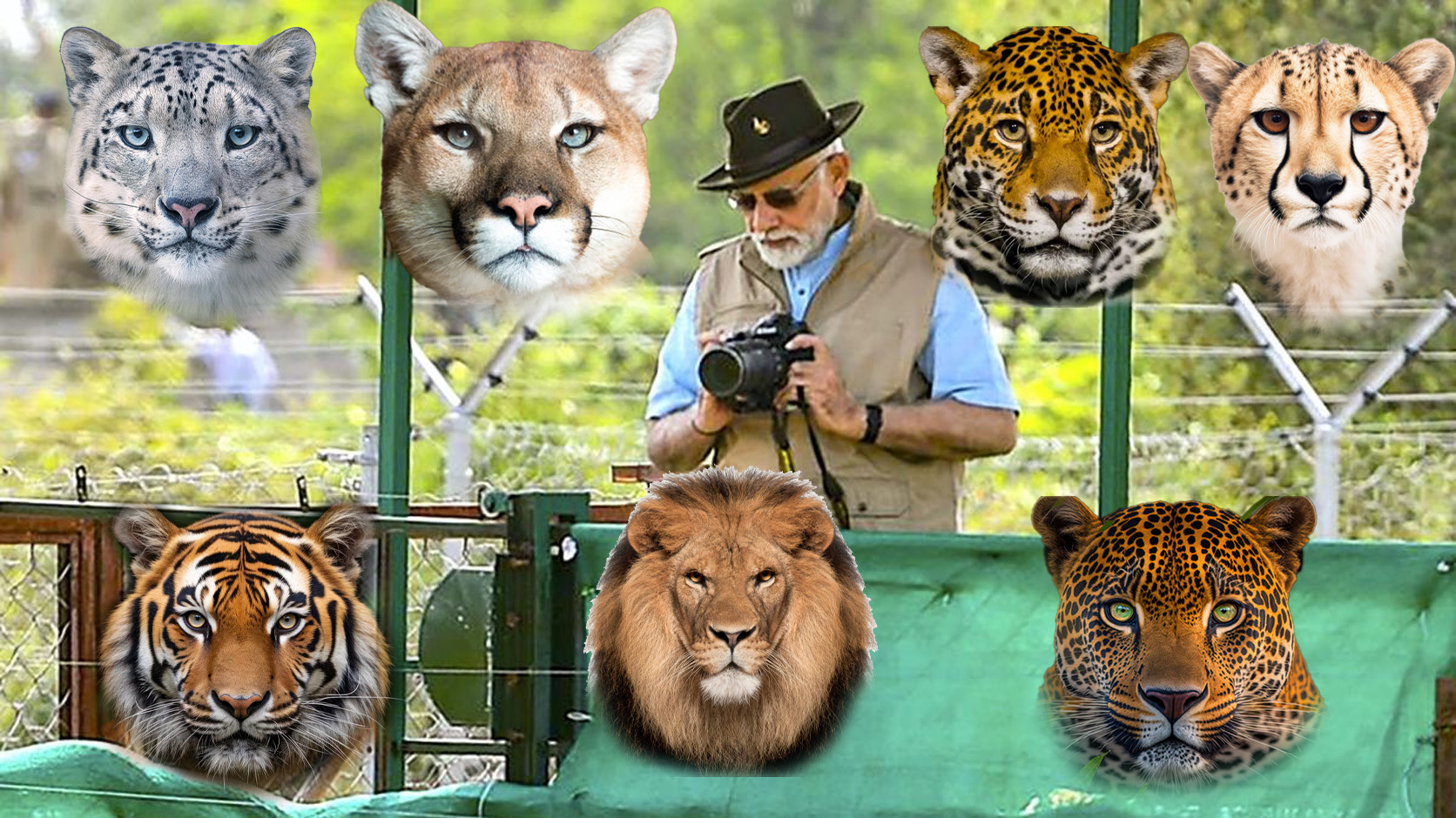 Union cabinet approves establishment of International Big Cat Alliance ...