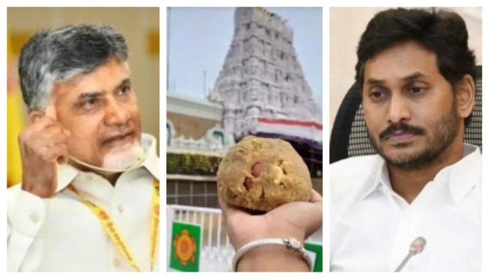 Andhra Pradesh CM Chandrababu Naidu claims animal fat used to make Tirumala laddus during Jagan ...
