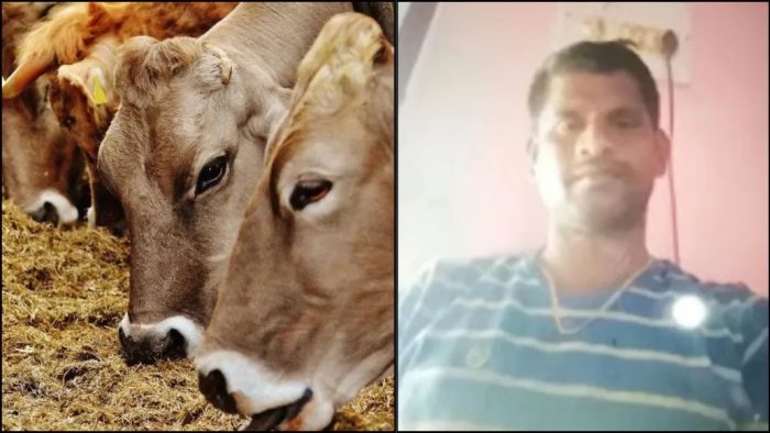 Odisha: Gau rakshak dies 12 days after attack by cow smugglers ...