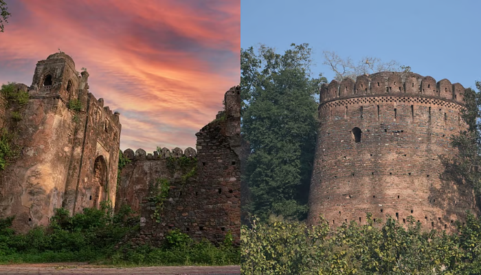 harkhand: Read about the 400-year-old Palamu forts built by tribal ...