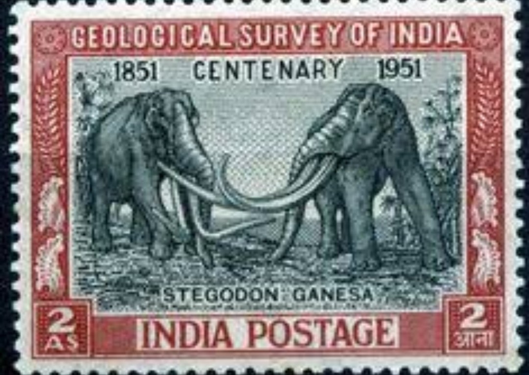 Read about Stegodon ganesa, the prehistoric giant tusker that roamed ...