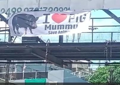 'I Love Pig' posters come up in Indore days after 'I Love Muhammad' row ...