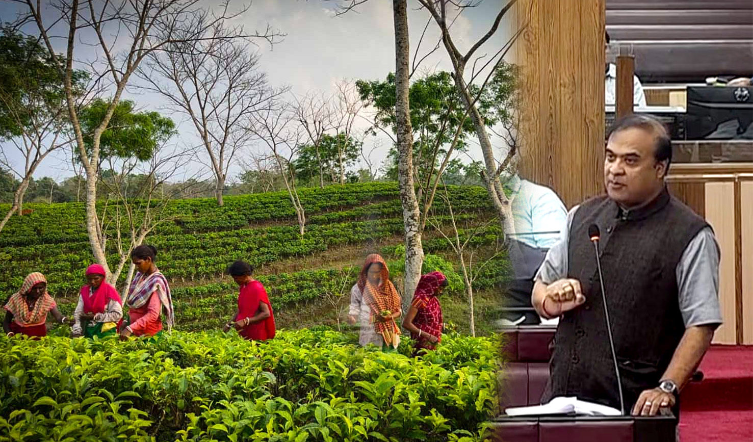Assam assembly passes Land Ceiling Amendment Bill giving land right to ...